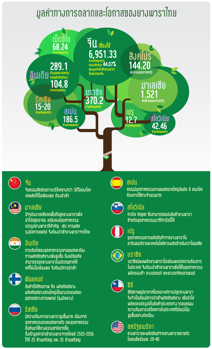 ThaiBiz.net : ธุรกิจเด่น - ยางพารา