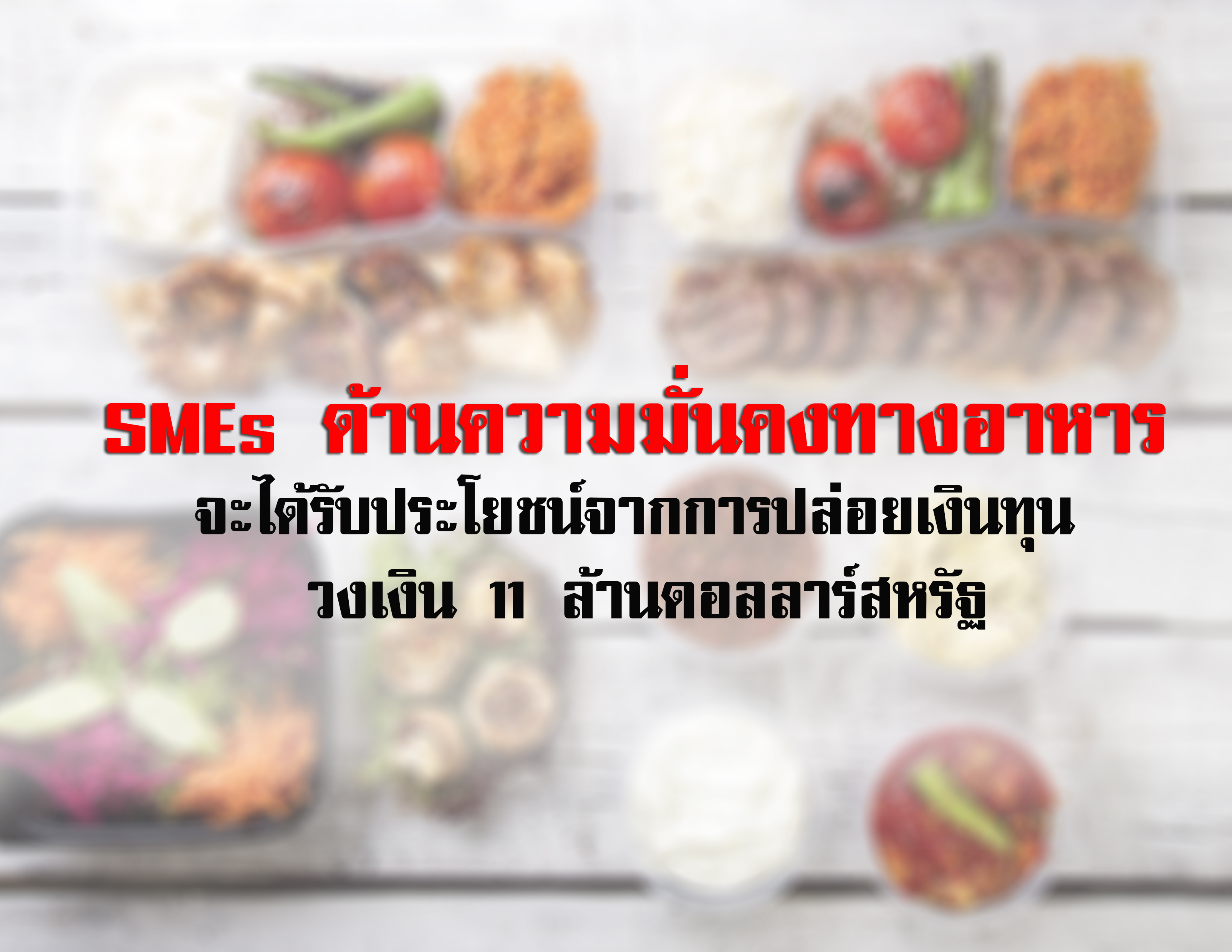 ThaiBiz.net : SMEs ด้านความมั่นคงทางอาหารจะได้รับประโยชน์จากการปล่อยเงินทุนวงเงิน 11 ล้านดอลลาร์ ...