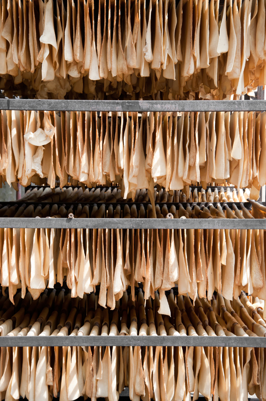 ThaiBiz.net : ธุรกิจเด่น - ยางพารา